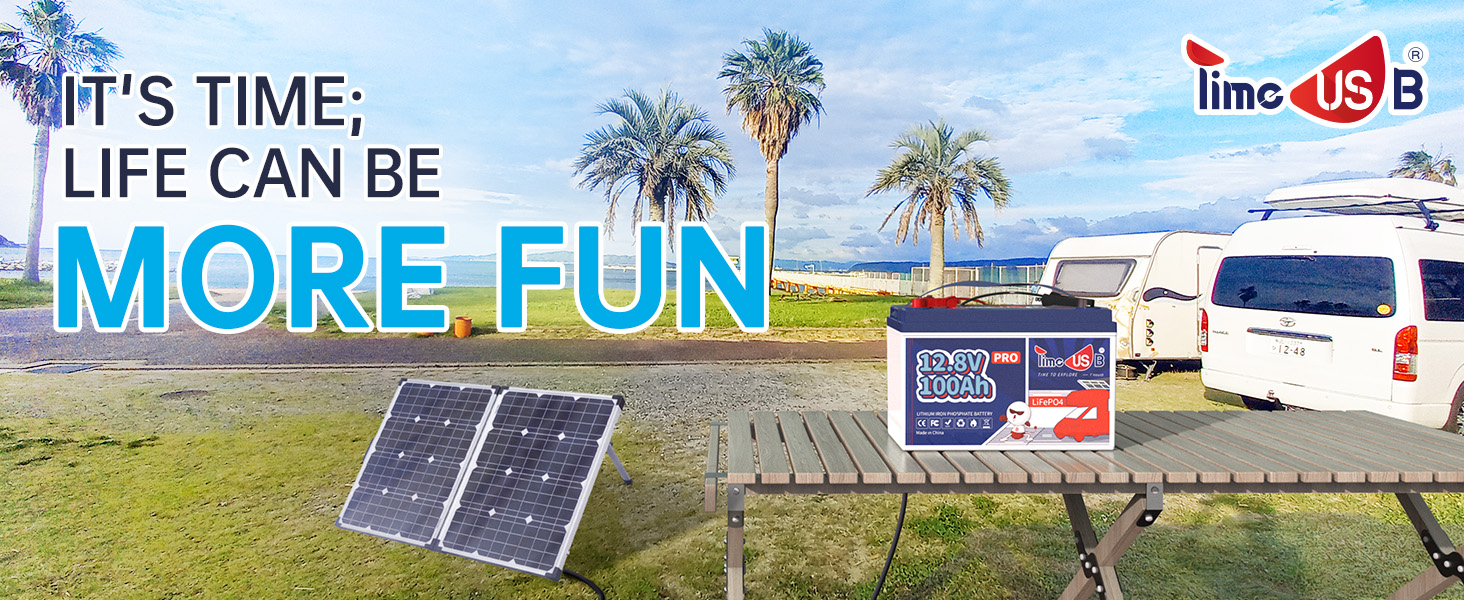 Timeusb 12V 100Ah Pro LiFePO4 Lithium Deep Cycle Battery